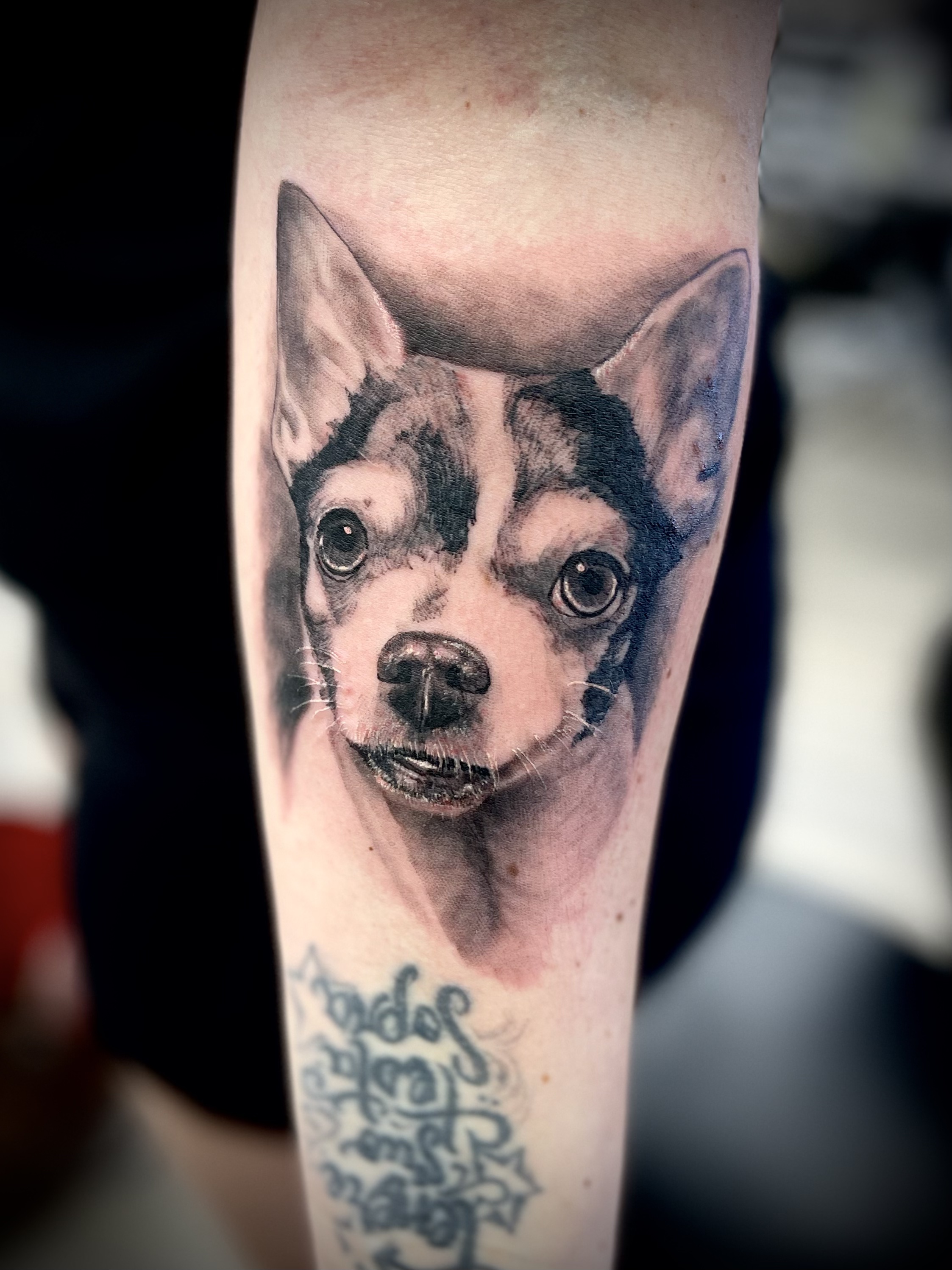 Your Story Starts Here